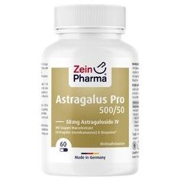 ZeinPharma Zein Pharma Astragalus Pro 500/50