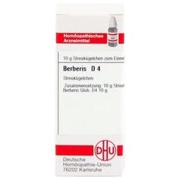 DHU-Arzneimittel BERBERIS D 4 Globuli