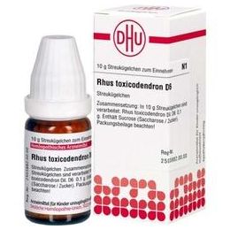 DHU-Arzneimittel RHUS TOXICODENDRON D 6 Globuli