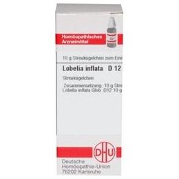 DHU-Arzneimittel LOBELIA INFLATA D 12 Globuli