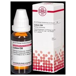 DHU-Arzneimittel LEDUM C 30 Dilution