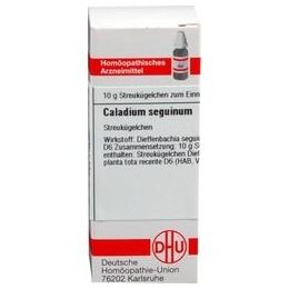 DHU-Arzneimittel CALADIUM seguinum D 6 Globuli
