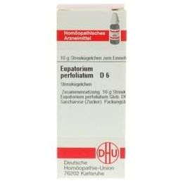 DHU-Arzneimittel EUPATORIUM PERFOLIATUM D 6 Globuli