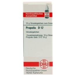 DHU-Arzneimittel PROPOLIS D 12 Globuli