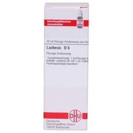 DHU-Arzneimittel LACHESIS D 6 Dilution