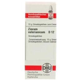 DHU-Arzneimittel ZINCUM VALERIANICUM D 12 Globuli