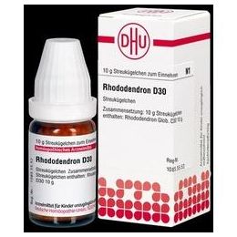 DHU-Arzneimittel RHODODENDRON D 30 Globuli