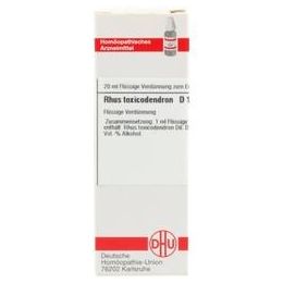 DHU-Arzneimittel RHUS TOXICODENDRON D 12 Dilution