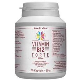 Vitamin B12 Forte 500 Methylcobalamin