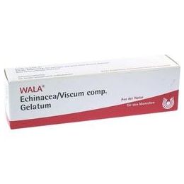 Dr. Hauschka WALA Echinacea/Viscum comp. Gelatum
