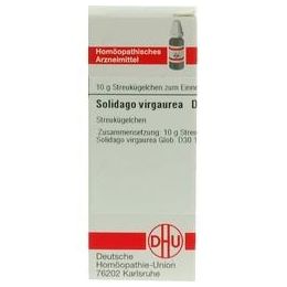 DHU-Arzneimittel SOLIDAGO VIRGAUREA D 30 Globuli