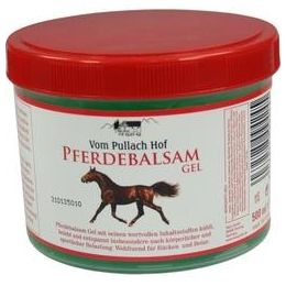 Axisis PFERDEBALSAM Gel