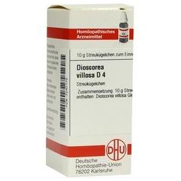 DHU-Arzneimittel DIOSCOREA VILLOSA D 4 Globuli