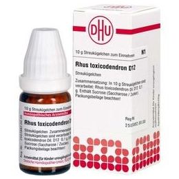 DHU-Arzneimittel RHUS TOXICODENDRON D 12 Globuli