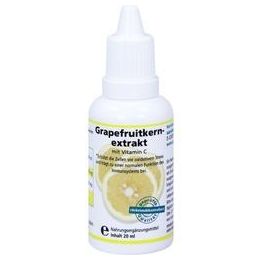 Sanitas GRAPEFRUIT KERN Extrakt