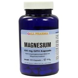 MAGNESIUM 100 mg Kapseln