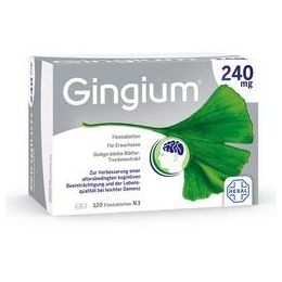 HEXAL® Gingium 240 mg