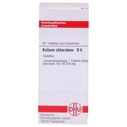 DHU-Arzneimittel KALIUM CHLORATUM D 6 Tabletten
