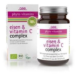 GSE eisen & vitamin C complex