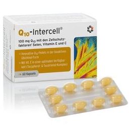 INTERCELL-Pharma GmbH Q10-Intercell