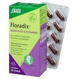 Salus Floradix Eisen plus B-Vitamine