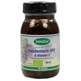 OPC TRAUBENKERN & VITAMIN C Kapseln