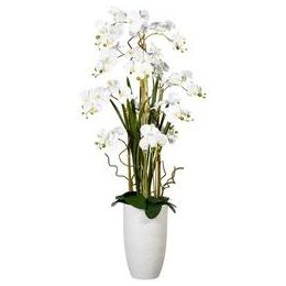 Kunstpflanze Phalänopsis in Weiß