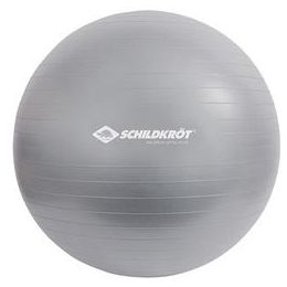 Donic Schildkröt Schildkröt Fitness Gymnastikball 55 cm, phthalatfrei, mit Ballpumpe, silber