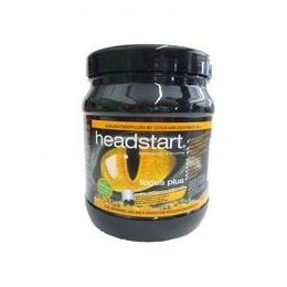 Headstart Focus Plus Instant Pulver Kiwi/Zitrone 0,5kg Geschmack - Citrus, Anwendung - Ausdauer/Kraft, Konsistenz - Pulver, Einnahmeempfehlung - bei Bedarf/Mahlzeiten,