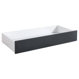 Schublade Hasena "Roll-Box" Schubladen Gr. B/H: 137 cm x 24 cm, zerlegt, grau (anthracit)