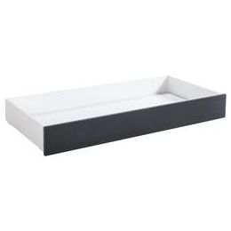 Schublade Hasena "Roll-Box" Schubladen Gr. B/H: 137cm x 19cm, zerlegt, grau (anthracit)