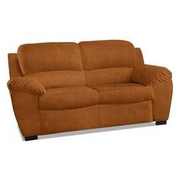 2-Sitzer COTTA "Dani", braun (zimt), B:146cm H:87cm T:89cm, Luxus-Microfaser aus 100% Polyester, Luxus-Kunstleder, NaturLEDER (echtes Rindsleder), Sofas