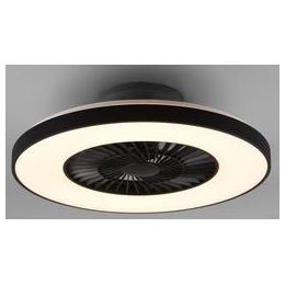 LED Deckenleuchte Trio LEUCHTEN "Halmstad Deckenventilator" Lampen Gr. Ø 59,3 cm Höhe: 20,5 cm, schwarz (schwarz matt) Deckenlampe, Ventilator, Fernbedienung, Ventilator getrennt schaltbar