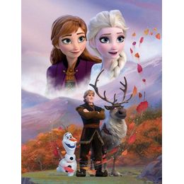 Wohndecke Disney Frozen Elsa Anna Kuscheldecke 130 x 170 cm