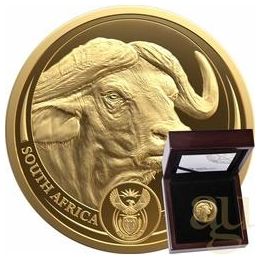1 Unze Goldmünze Südafrika Big Five Büffel 2023 proof