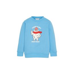 Tom Tailor Jungen Sweatshirt mit Bio-Baumwolle, blau, Motivprint, Gr. 92/98