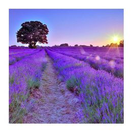 Levandeo® Glasbild, Levandeo Glasbild 30x30cm Wandbild Glas Lavendel Feld Sonne