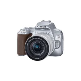 Canon EOS 250D 18-55mm IS STM - Silver