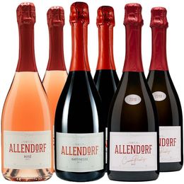 Weingut Allendorf Allendorf Schaumwein-Paket