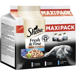 Sheba Multipack Fresh & Fine in Sauce 15 x 50g Fischvariation