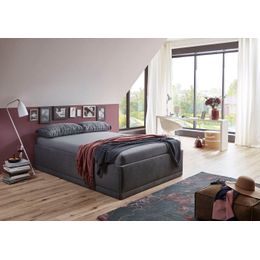 Westfalia Schlafkomfort Polsterbett Texel, Standardhöhe mit Zierkissen, Bettkasten bei Ausführung mit Matratze, schwarz