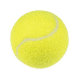 Flamingo Spielball Hundespielzeug Tennisball Smash gelb