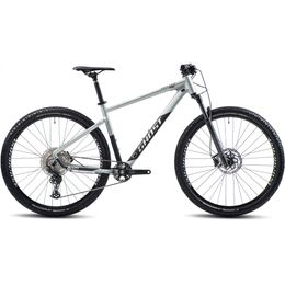 Mountainbike GHOST "Kato Pro AL" Fahrräder Gr. 48 cm, 29 Zoll (73,66 cm), grau Hardtail