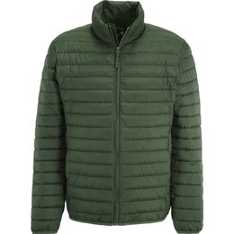 GALERIA essentials Steppjacke, Stehkragen, uni, für Herren, grün, XXL