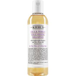 Kiehl's Kiehl's Rice & Wheat Volumizer Shampoo, transparent