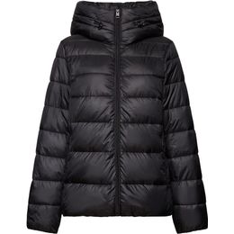 Esprit Steppjacke, Kapuze, Stehkragen, für Damen, schwarz, L