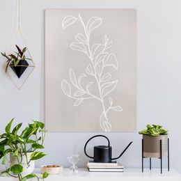 Bilderwelten Leinwandbild originell Line Art Kunstdruck beige - Line Art Zweig auf Beige II - Pflanzen XXL Wohnzimmer Schlafzimmer