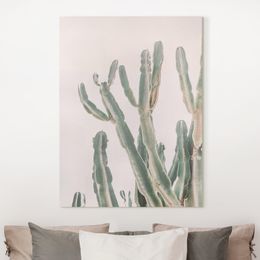 Bilderwelten Leinwandbild Tropisch Kunstdruck pastell - Kaktus vor Pastellrosa - Pflanzen XXL Wohnzimmer Schlafzimmer