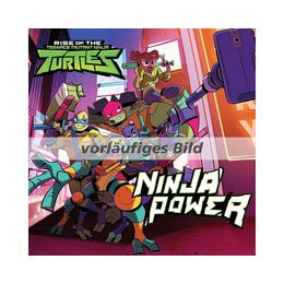 Danilo Wandkalender Teenage Mutant Kalender 2024 Ninja Turtles