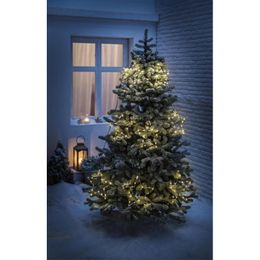 LED-Weihnachtsbaumbeleuchtung "Stella" 9-teilig